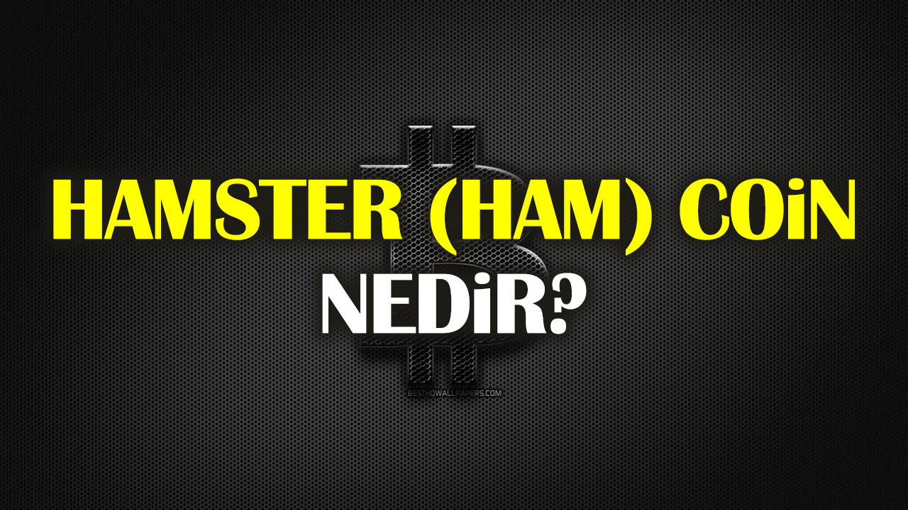 Hamster (HAM) Coin satın alma! Hamster (HAM) Coin Yorum - HAM Coin ...